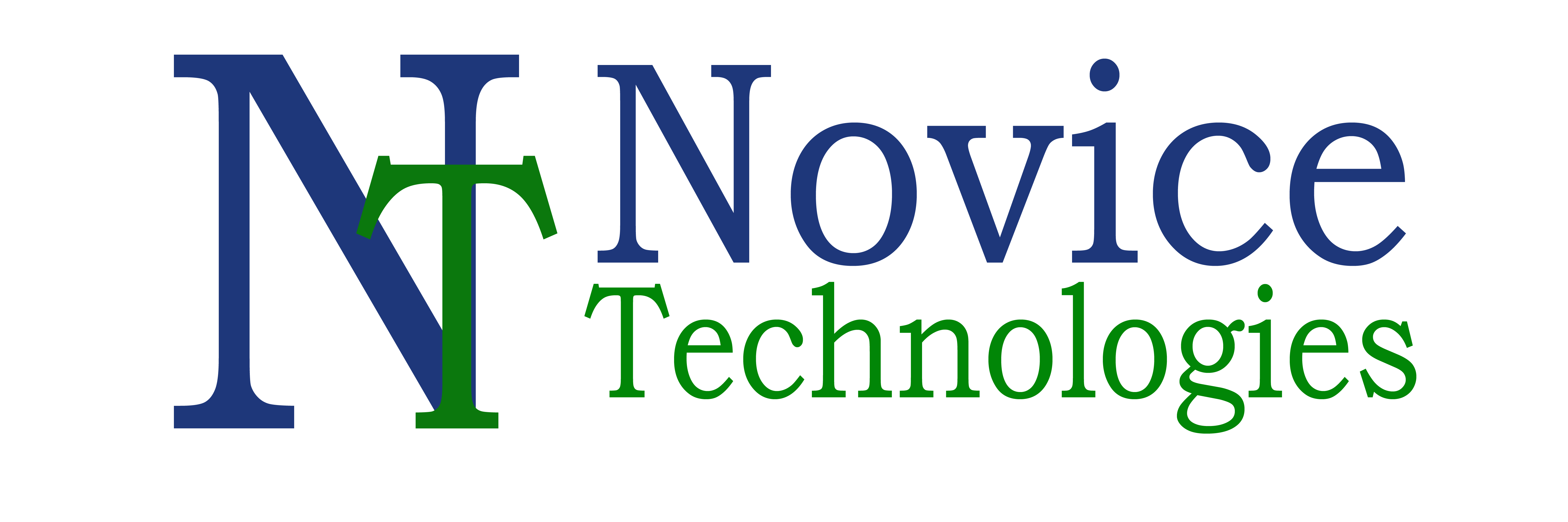 ERP Implementation - novicetec.com